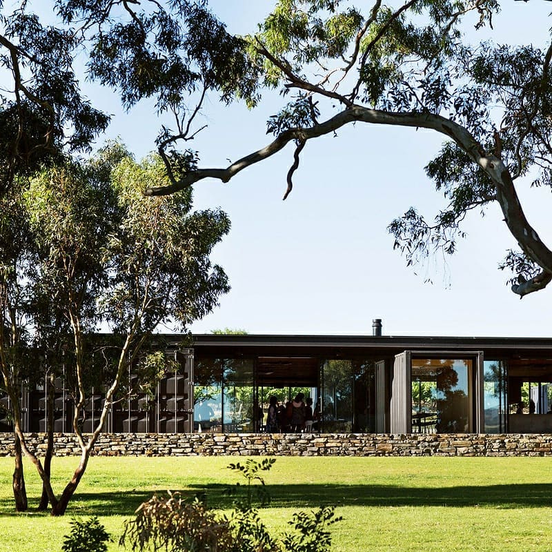 Mitolo Wines Wedding Venue in Mclaren Vale | WeddingVenues.com.au