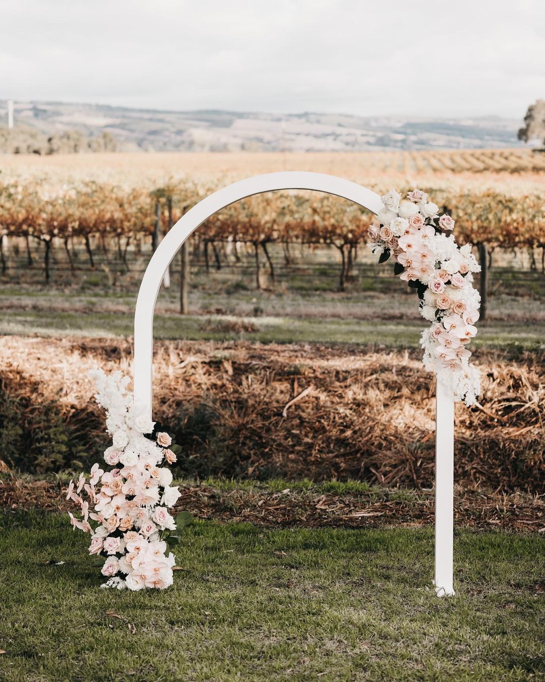 Mitolo Wines Wedding Venue in Mclaren Vale | WeddingVenues.com.au