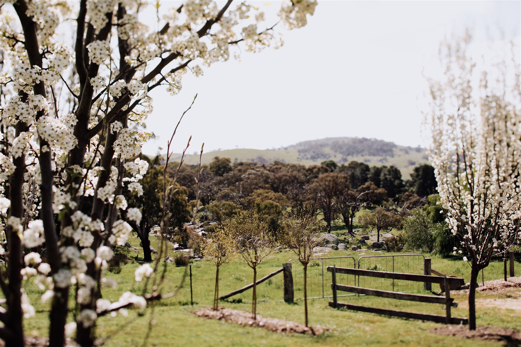The Acres of Tooborac Wedding Venue in Tooboroac | WeddingVenues.com.au