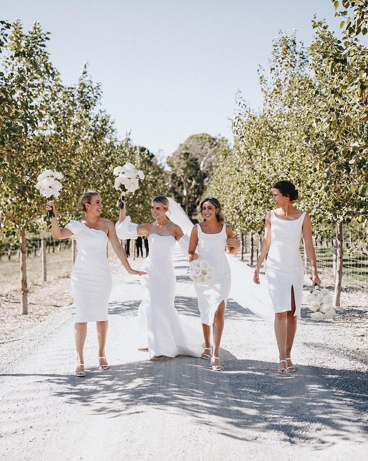 Mitolo Wines Wedding Venue in Mclaren Vale | WeddingVenues.com.au