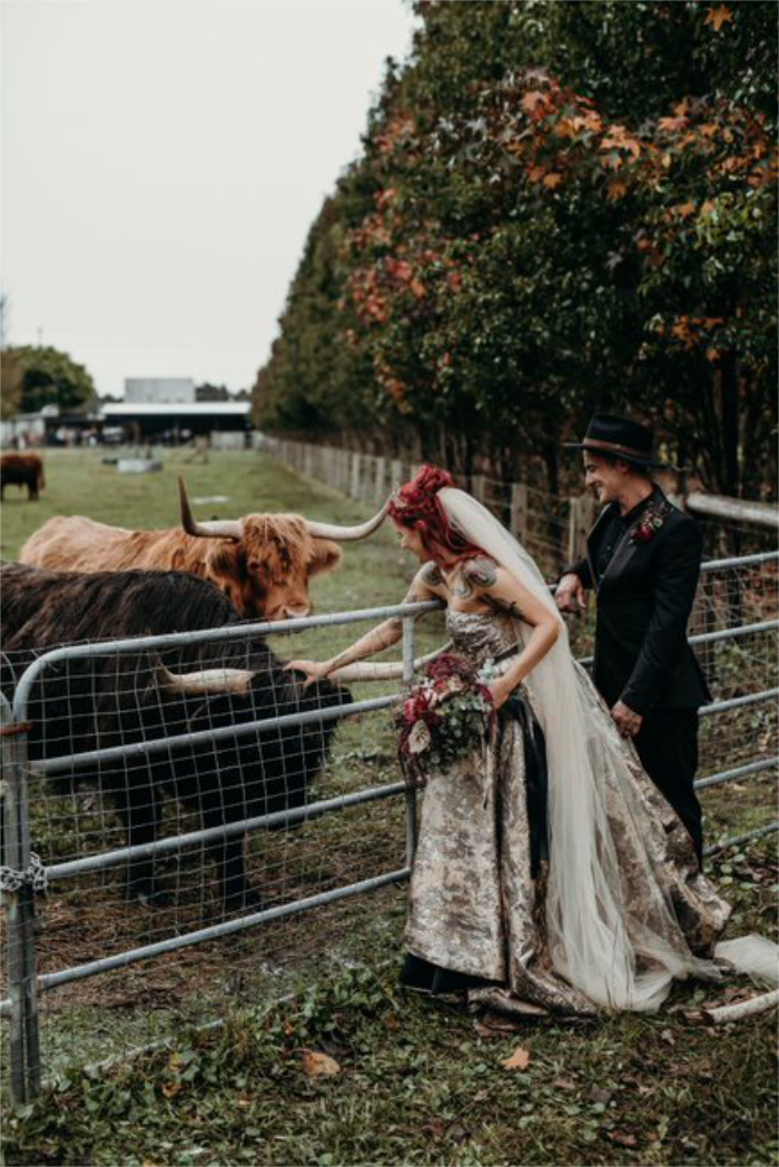 Valhalla Restaurant Bar Wedding Venue in Bobs Farm | WeddingVenues.com.au
