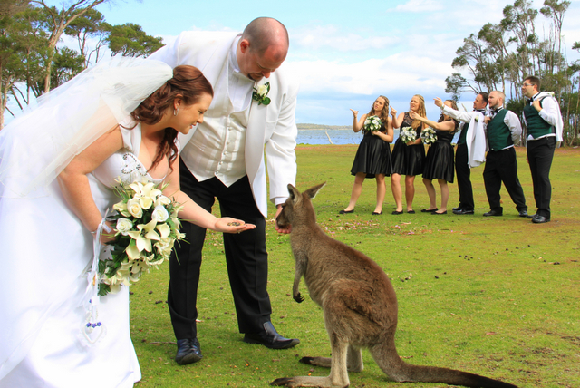 Waterfront Retreat at Wattle Point Wedding Venue in Forge Creek ...