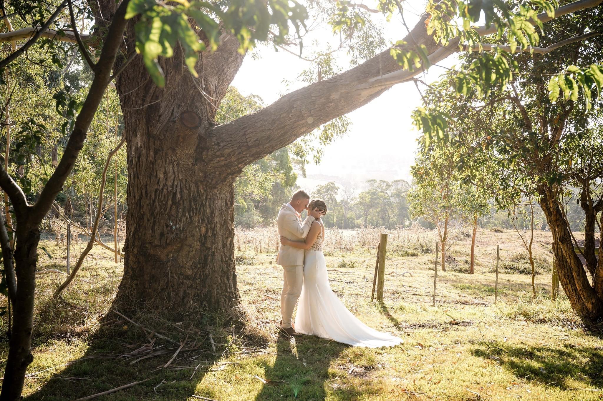 Parnassus Function Centre Wedding Venue in Drouin East | WeddingVenues.com.au