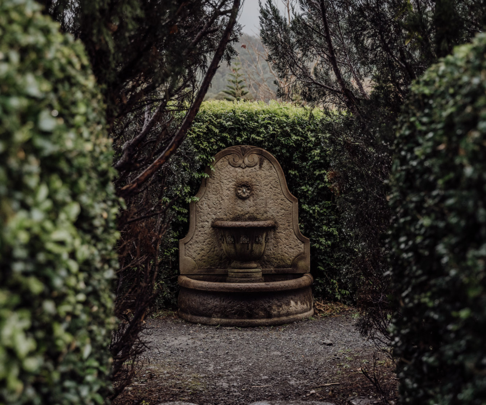 Sarabah Estate Vineyard Wedding Venue in Sarabah | WeddingVenues.com.au