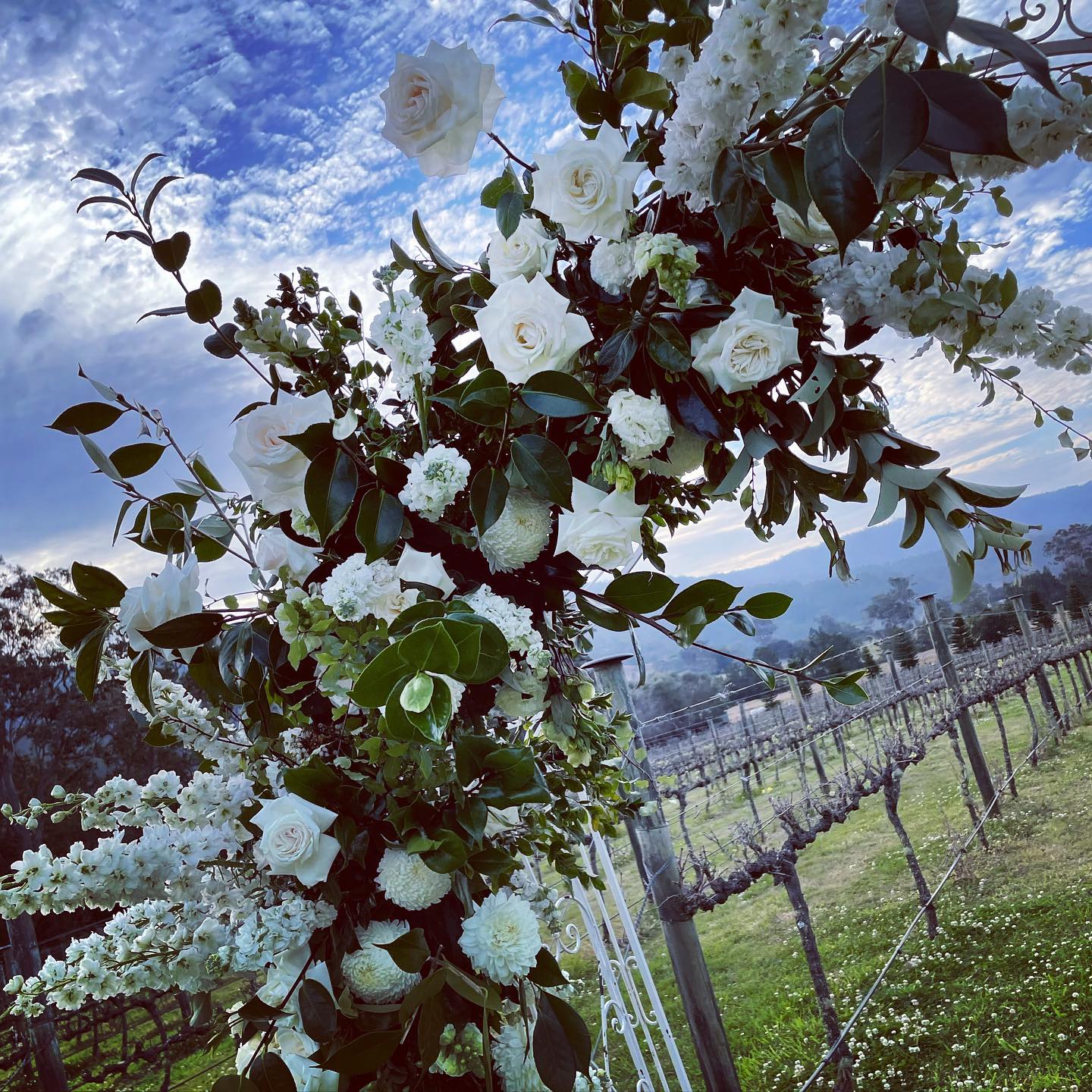 Sarabah Estate Vineyard Wedding Venue in Sarabah | WeddingVenues.com.au