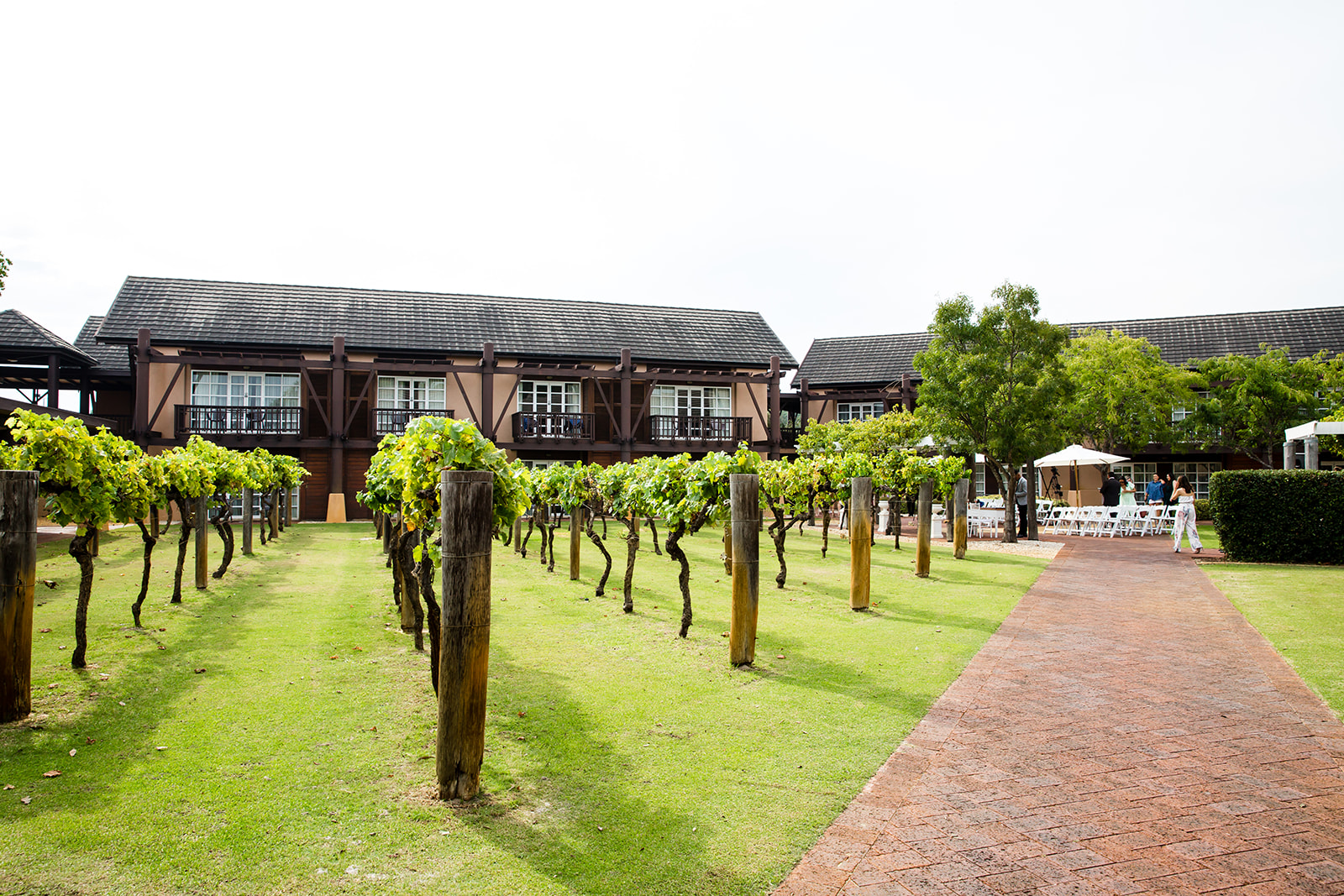 The Vines Resort Wedding Venue in The Vines | WeddingVenues.com.au