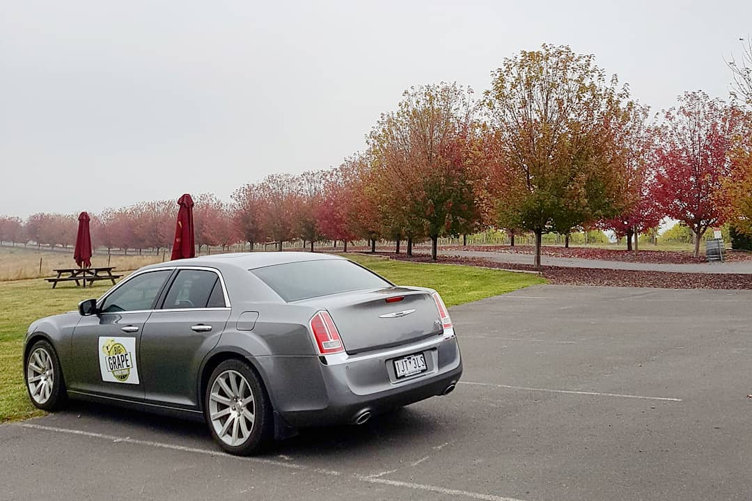 Big Grape Winery Tours and Transfers - Wedding Cars | Easy Weddings