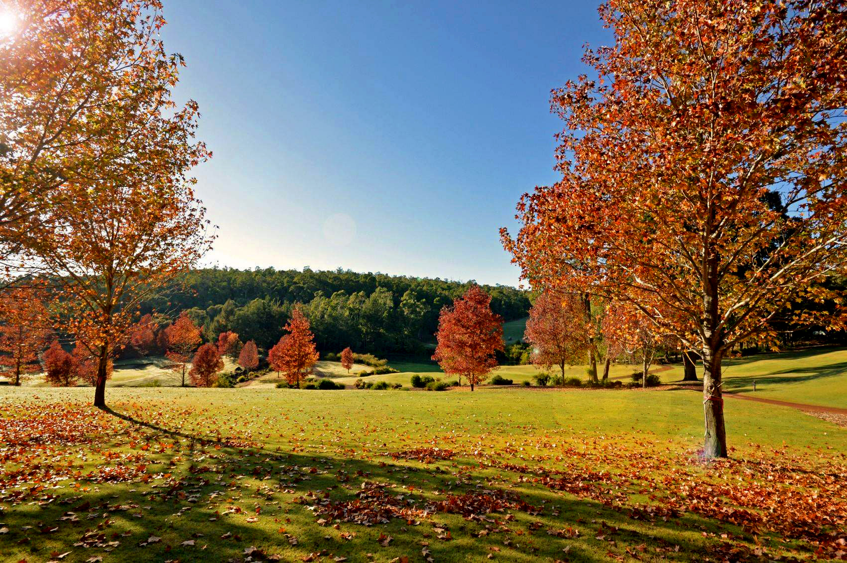 Araluen Estate - Wedding Venues Roleystone | Easy Weddings