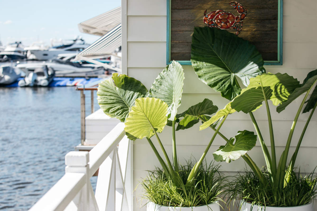 The Boathouse Rose Bay - Wedding Venues Rose Bay | Easy Weddings