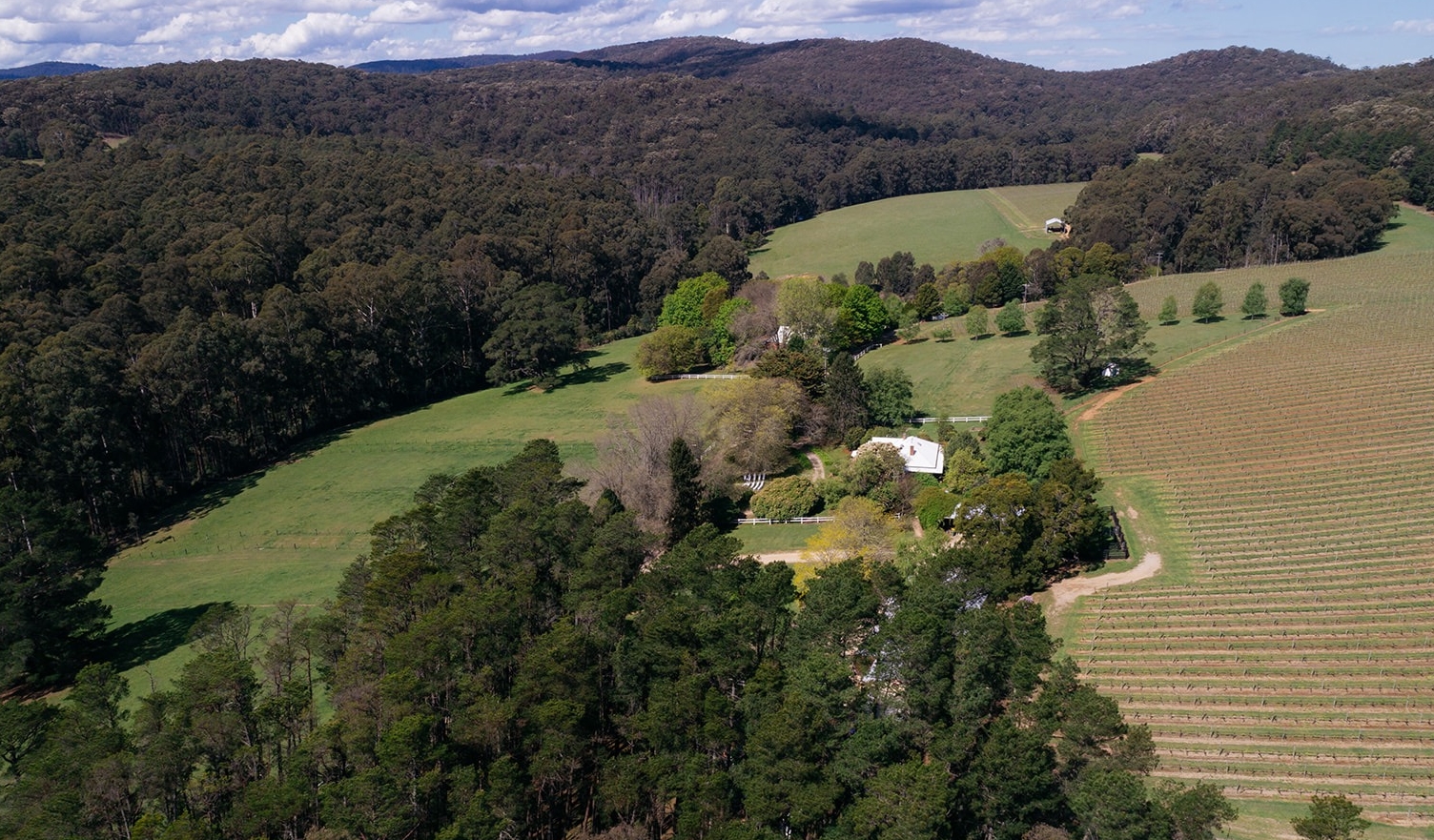 Swallowfield Vineyards - Wedding Venues Gembrook | Easy Weddings