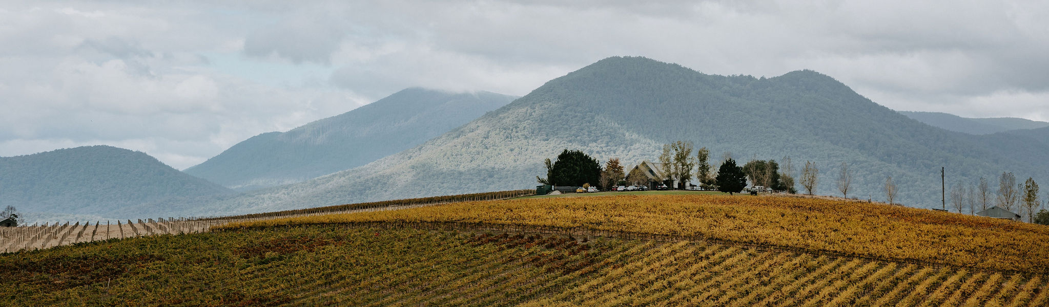 Riverstone Estate - Wedding Venues Coldstream | Easy Weddings