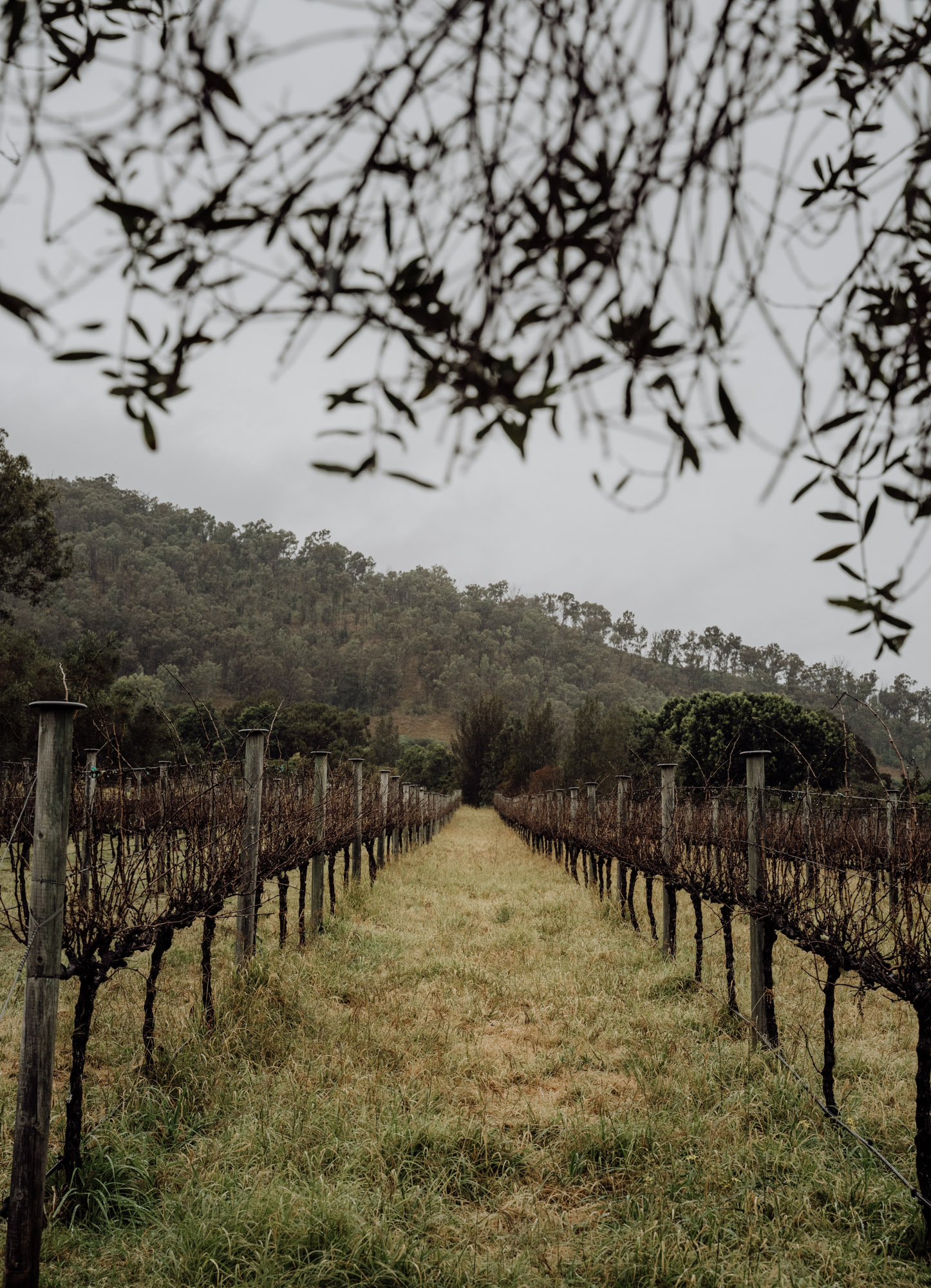 Sarabah Estate Vineyard - Wedding Venues Sarabah | Easy Weddings