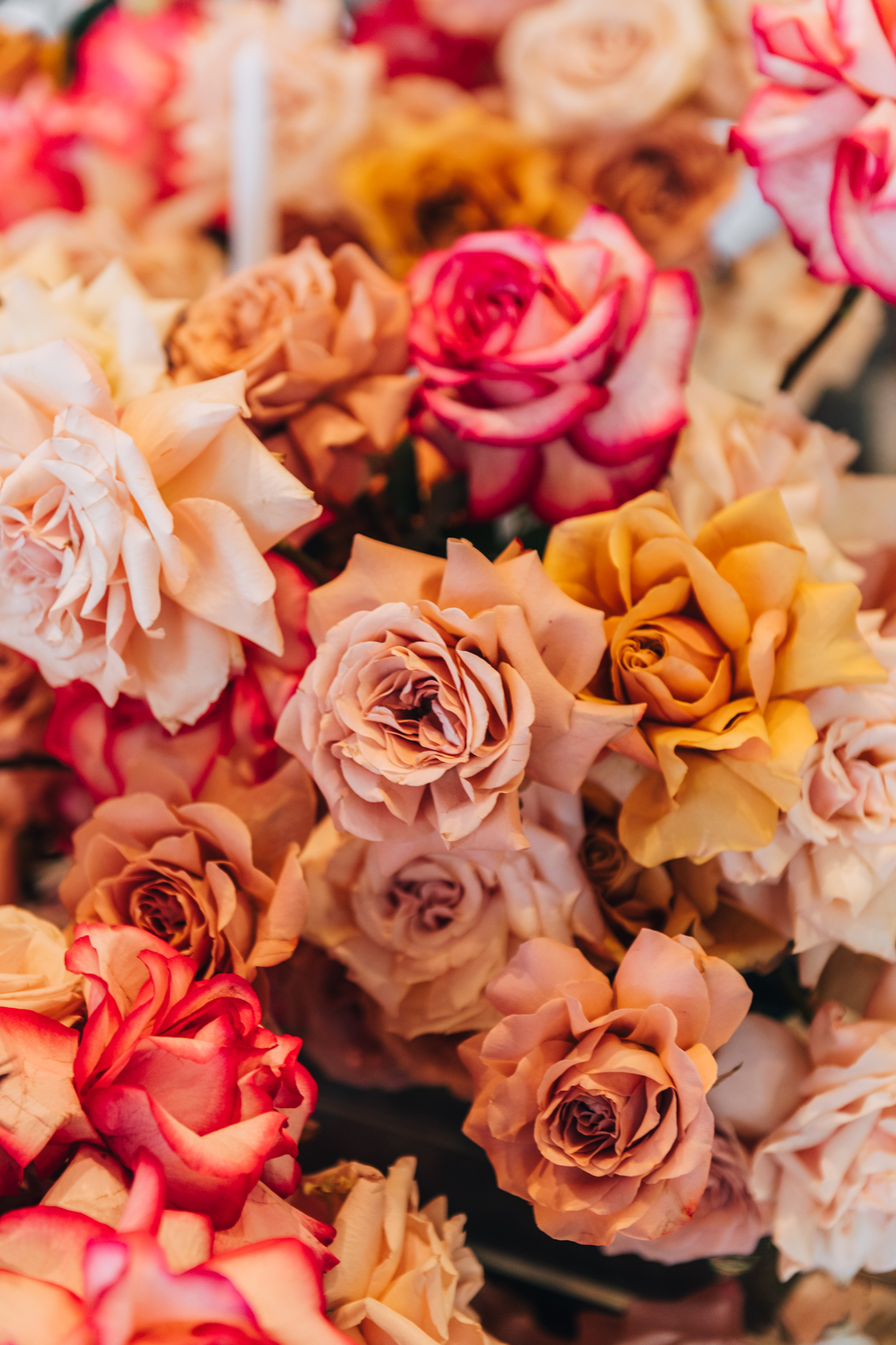 Sheldon Reception - Wedding Venues Sunshine West | Easy Weddings