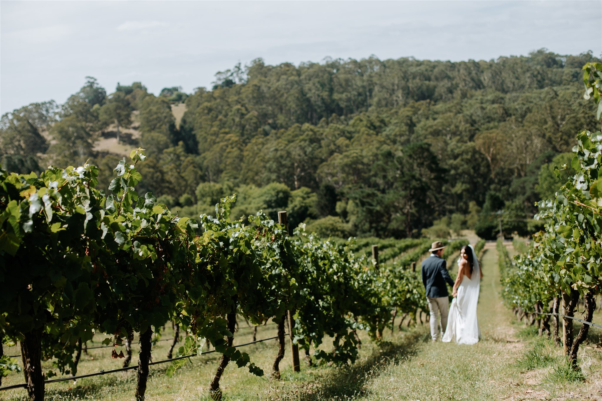 Swallowfield Vineyards - Wedding Venues Gembrook | Easy Weddings