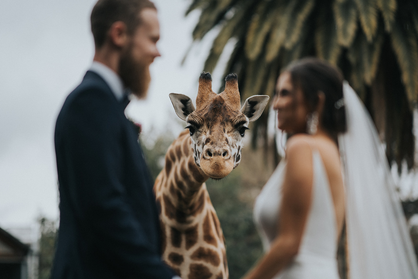 The Melbourne Zoo - Wedding Venues Parkville | Easy Weddings