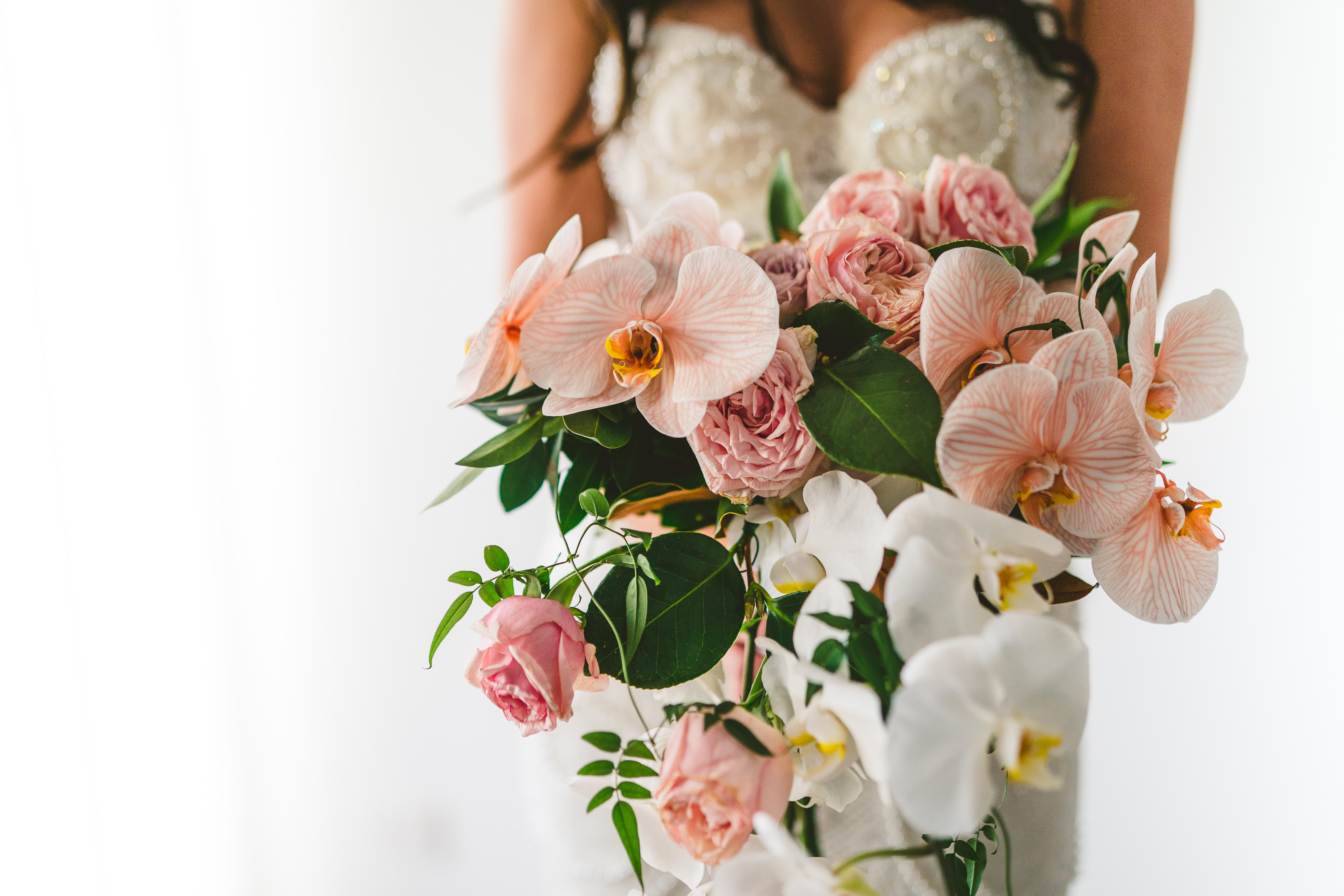 Two Tribes Events - Wedding Decorations Cairns North | Easy Weddings