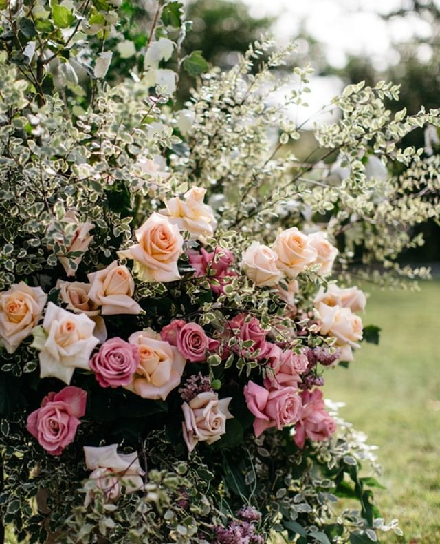 Athol Hall - Wedding Venues Mosman | Easy Weddings