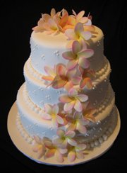 Sweet Stuff Cake Art - Wedding Cakes Macarthur | Easy Weddings