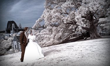 Sweet Memories Studio - Wedding Photography Bexley | Easy Weddings