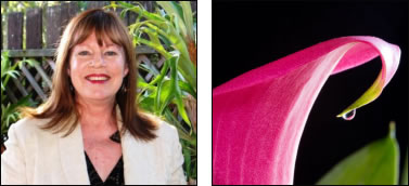 Beautiful Moment Celebrant - Victoria Simon - Marriage Celebrants Manly ...